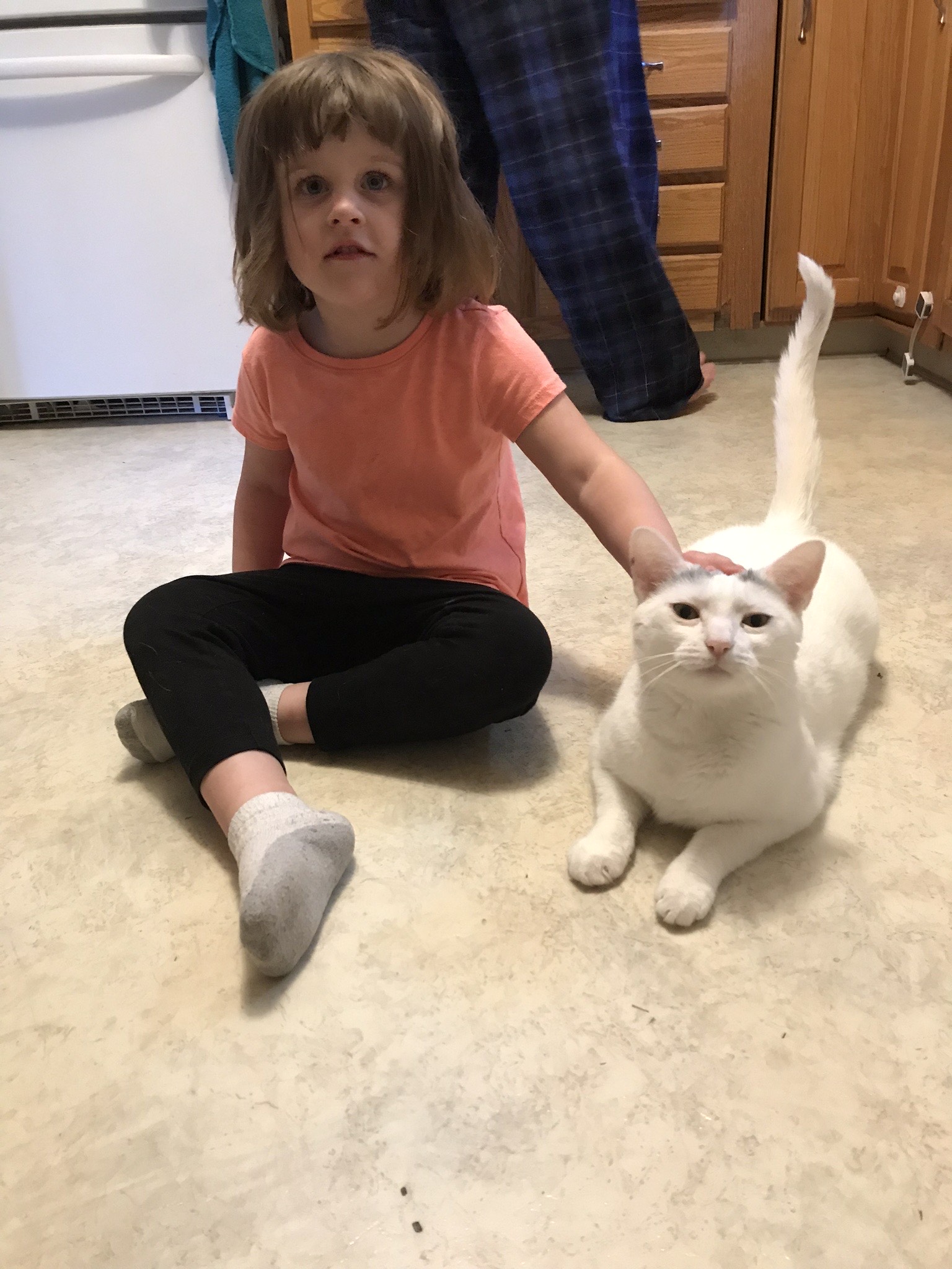 Malcolm - Protectors of Animals