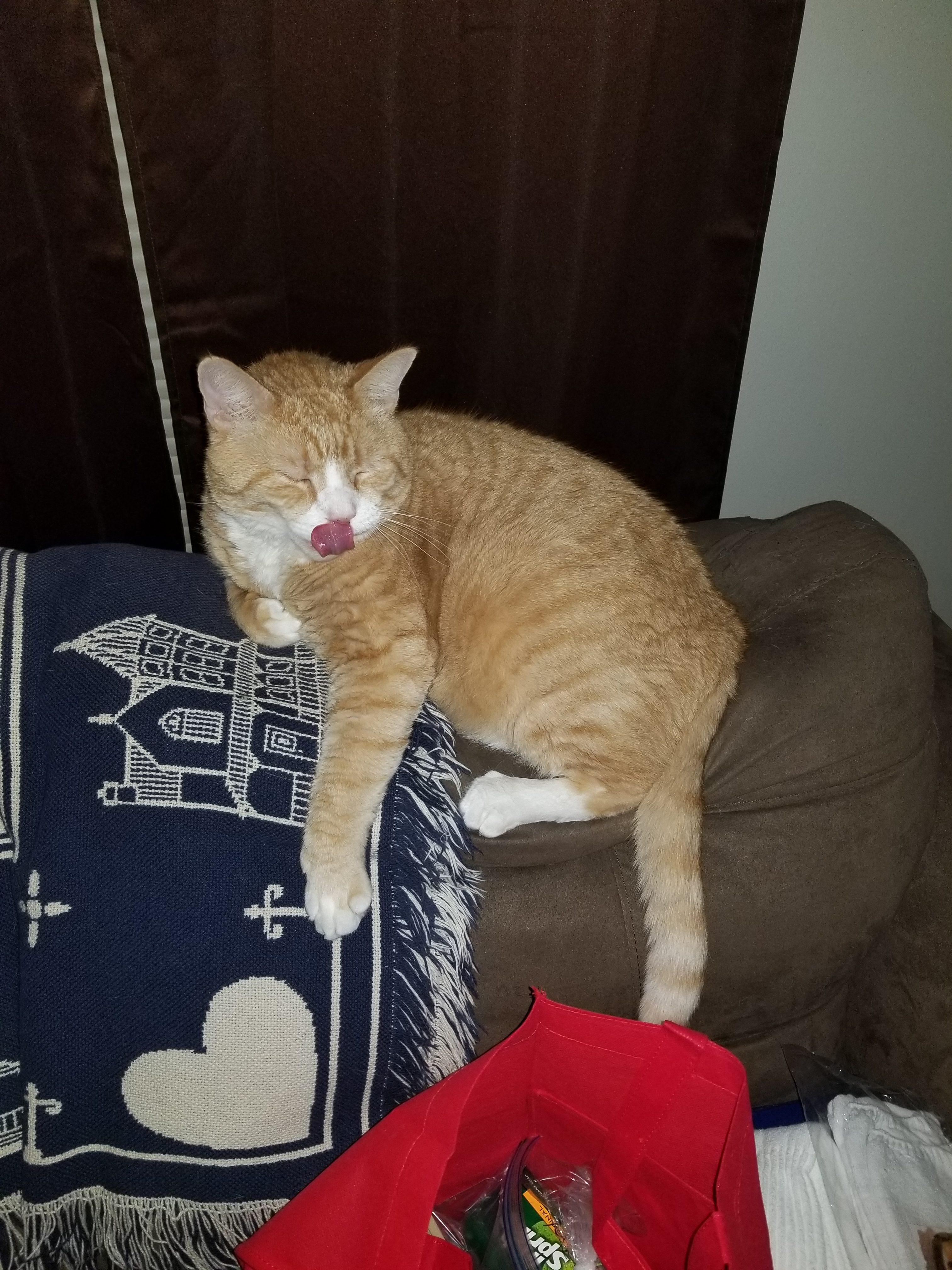 Andrew - Protectors of Animals