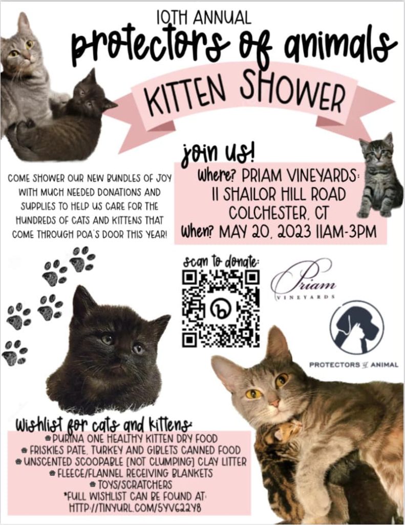 10th Annual Kitten Shower - Protectors of Animals