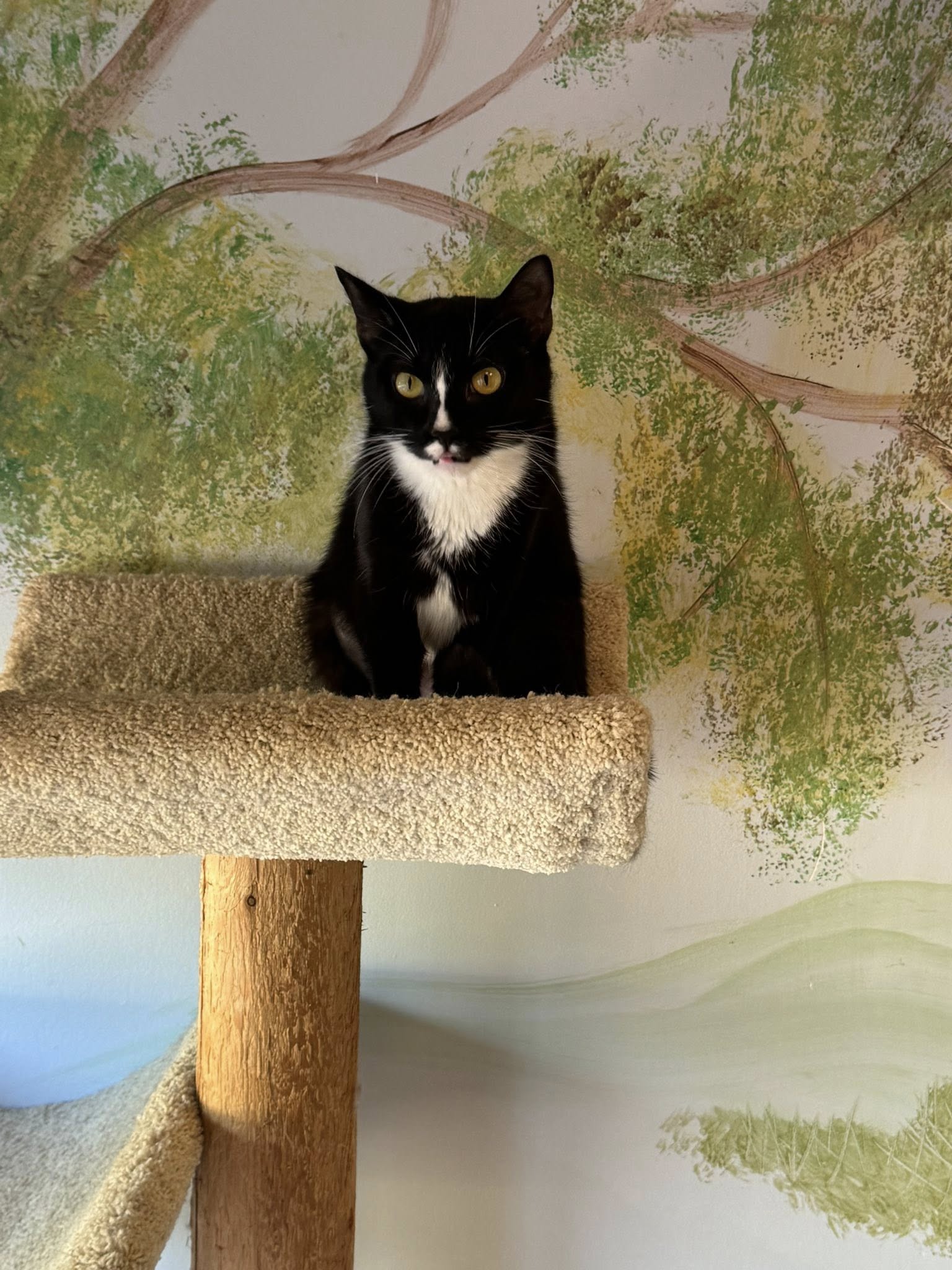 Mars - Protectors of Animals